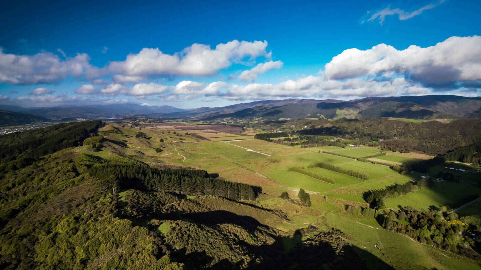 Mokoia Residences - Source Group - Quality, Affordable Homes